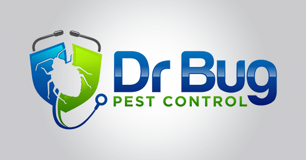 Dr Bug Pest Control | Professional Pest Control Solutions
